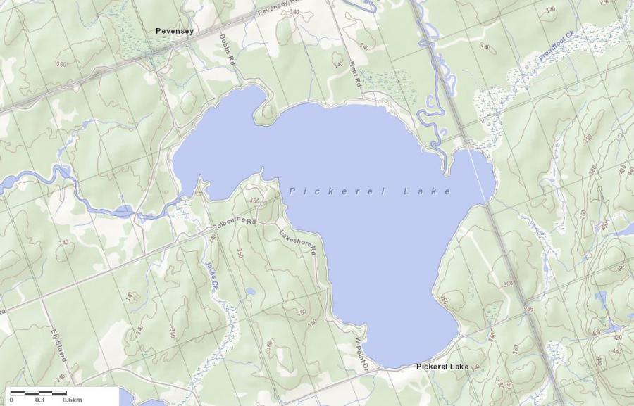 Pickerel Lake - (Armour)